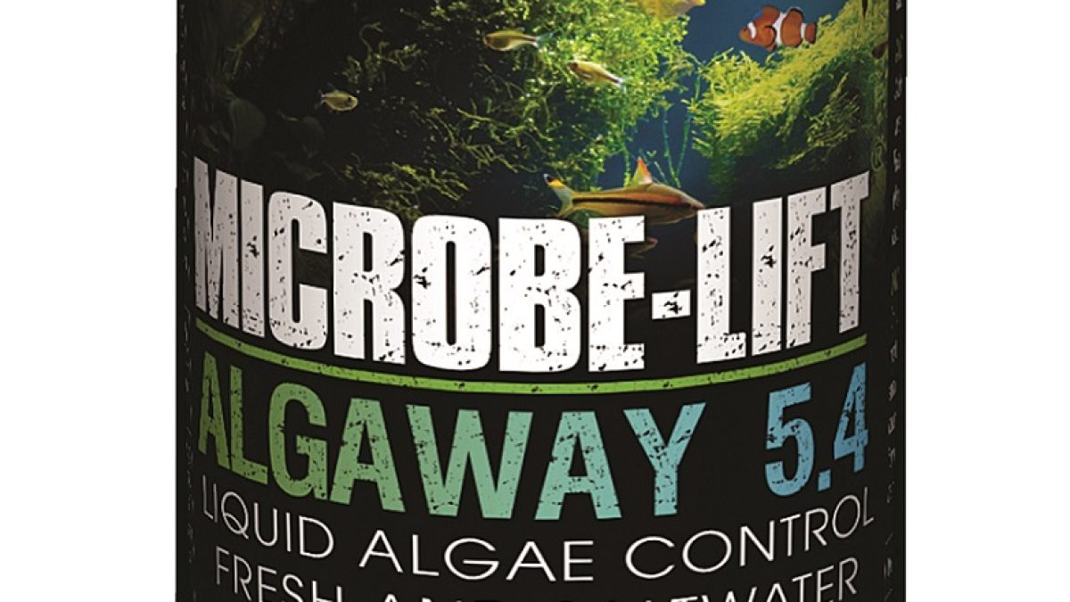 Pond Clear Thread Algae Killer & Algae Remover For Ponds - Microbe-Lift ...