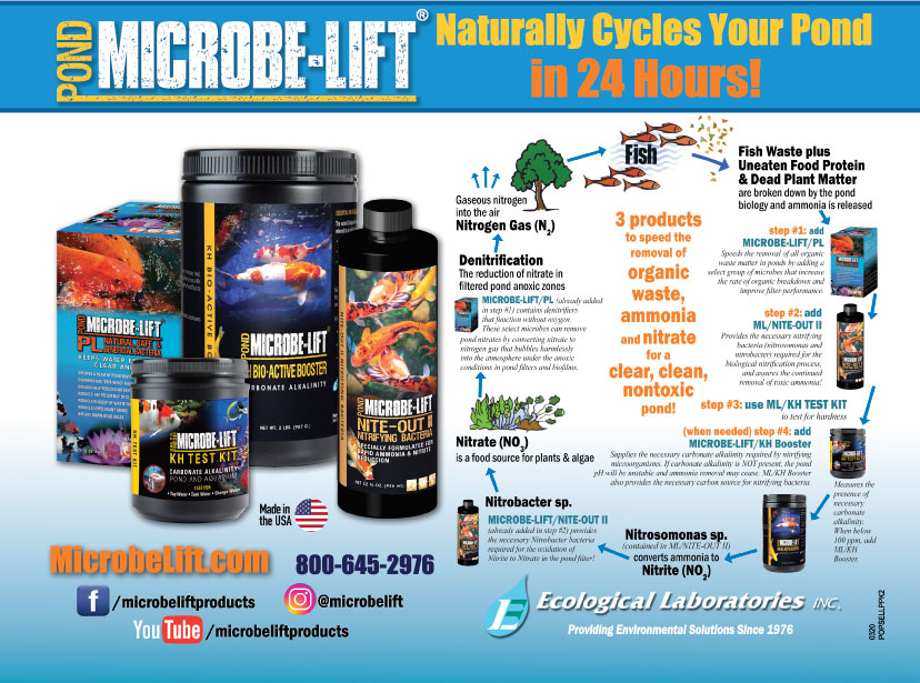 Cycle Your Pond | Microbe-Lift