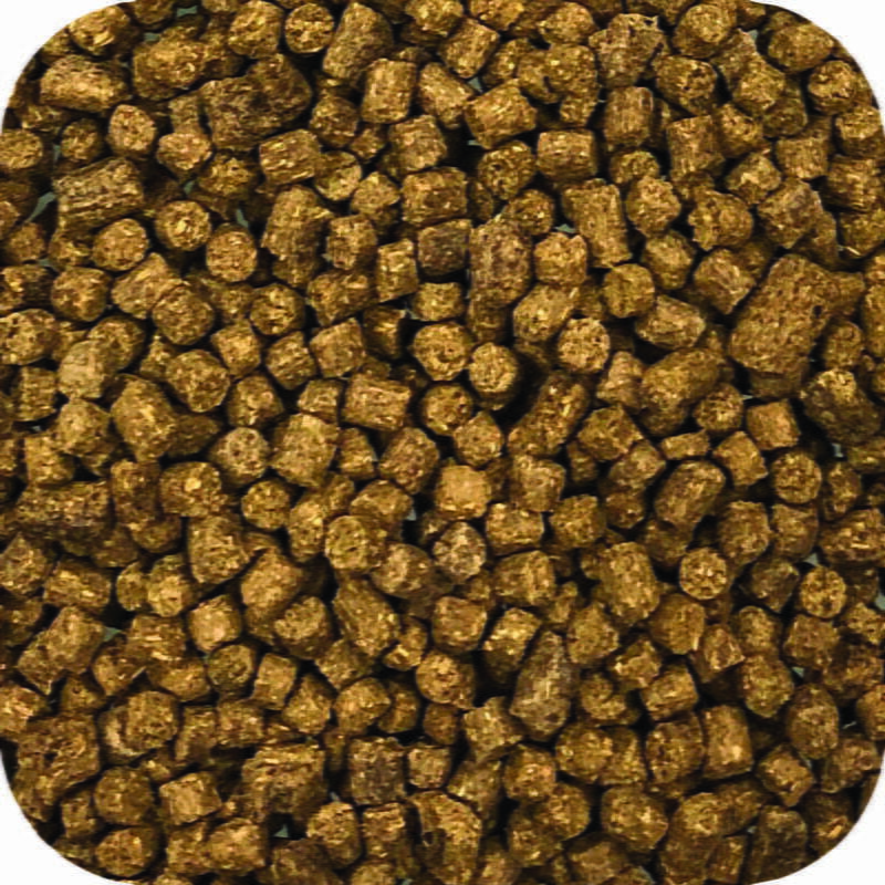 LEGACY Sinking Food Pellets | Microbe-Lift