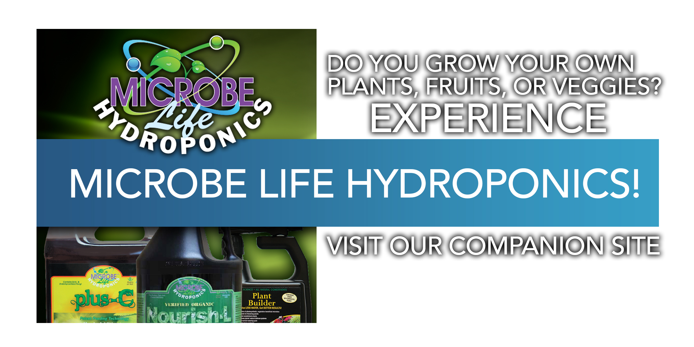 microbe life 2AD | Microbe-Lift