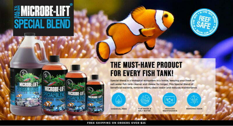 Special Blend | Microbe-Lift